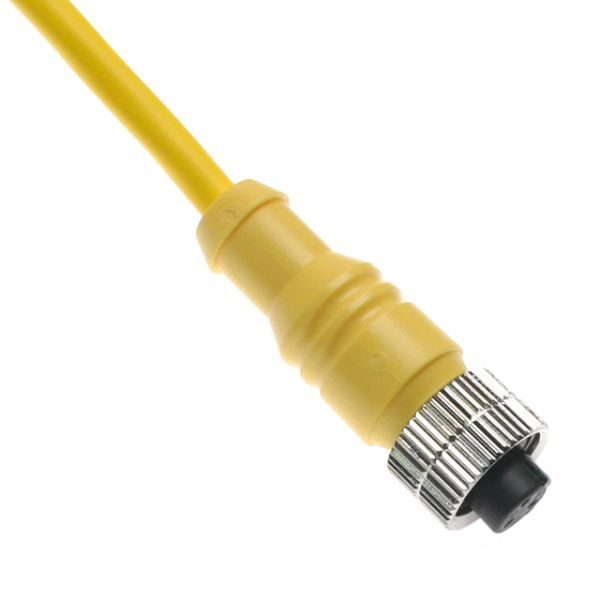 Micro AC Cordset, 5 Pole Female 6 Meter